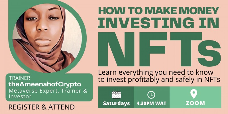 Buy Meta 102: How To Make Money Investing In NFTs (For Beginners) by TheBlockchainExplained on Selar