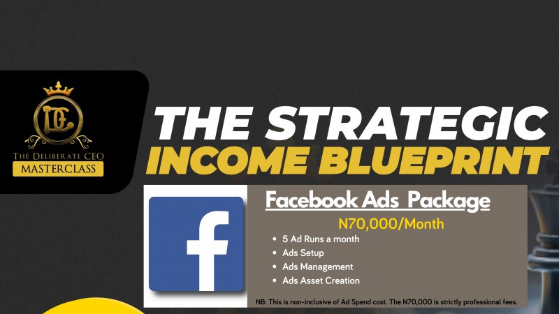 Buy The Deliberate CEO Facebook ADs Package by David Emenyi on Selar