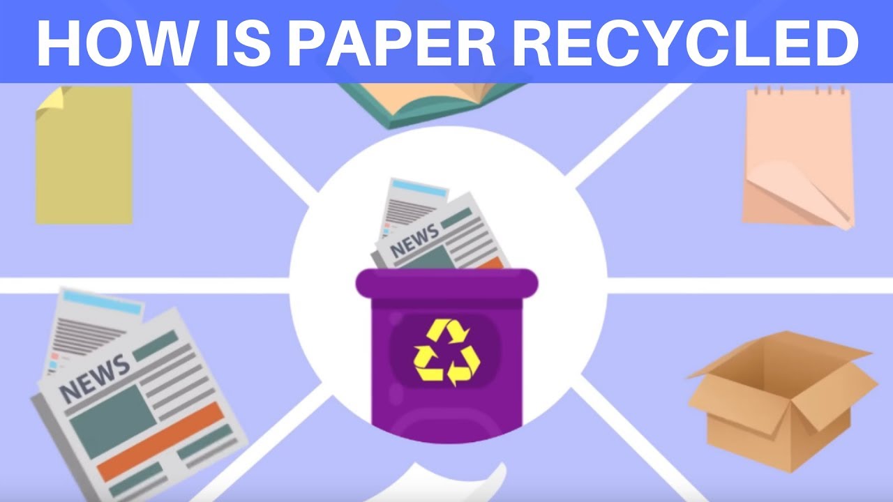 Buy WASTE PAPER RECYCLING BUSINESS PLAN by Bamishaye Bamidele Emmanuel ...