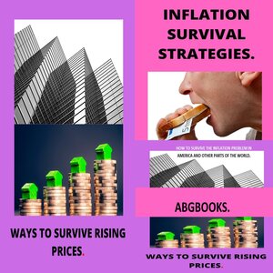 Buy INFLATION SURVIVAL STRATEGIES. by Nkwachukwu Njoku on Selar