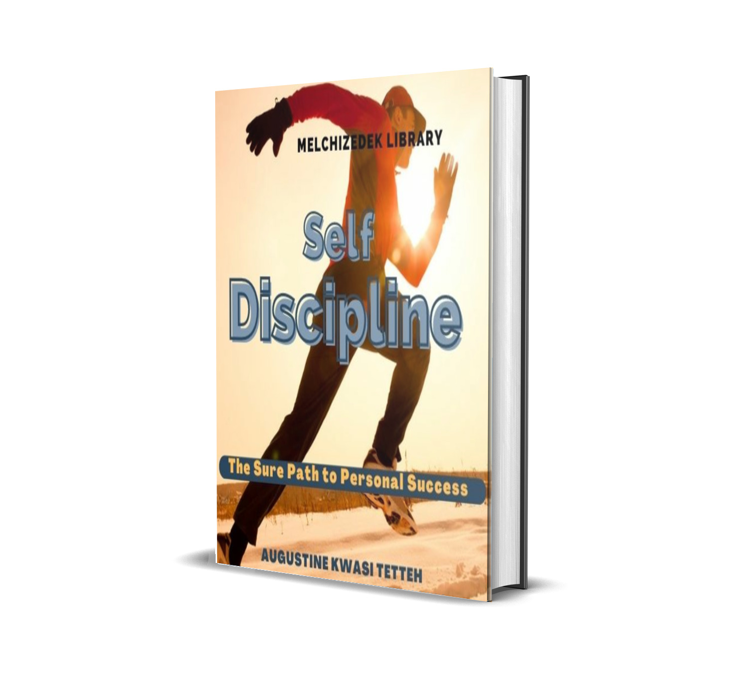 Buy Self Discipline - The sure path to personal success by Augustine ...