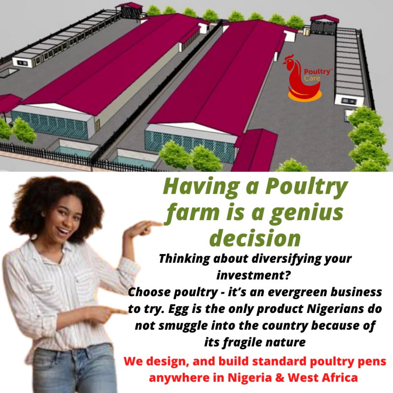 Buy Bill of Quantity for Poultry Pen Project by poultryCare Store on Selar
