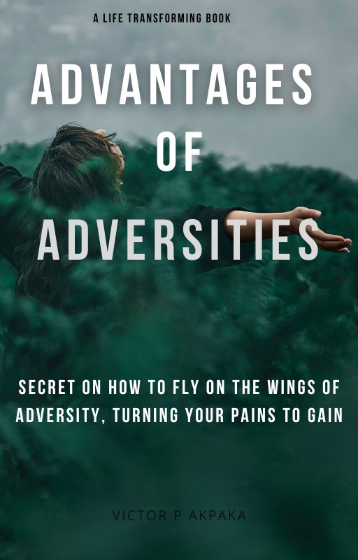 Buy Advantages Of Adversities by Victor P Akpaka on Selar.co