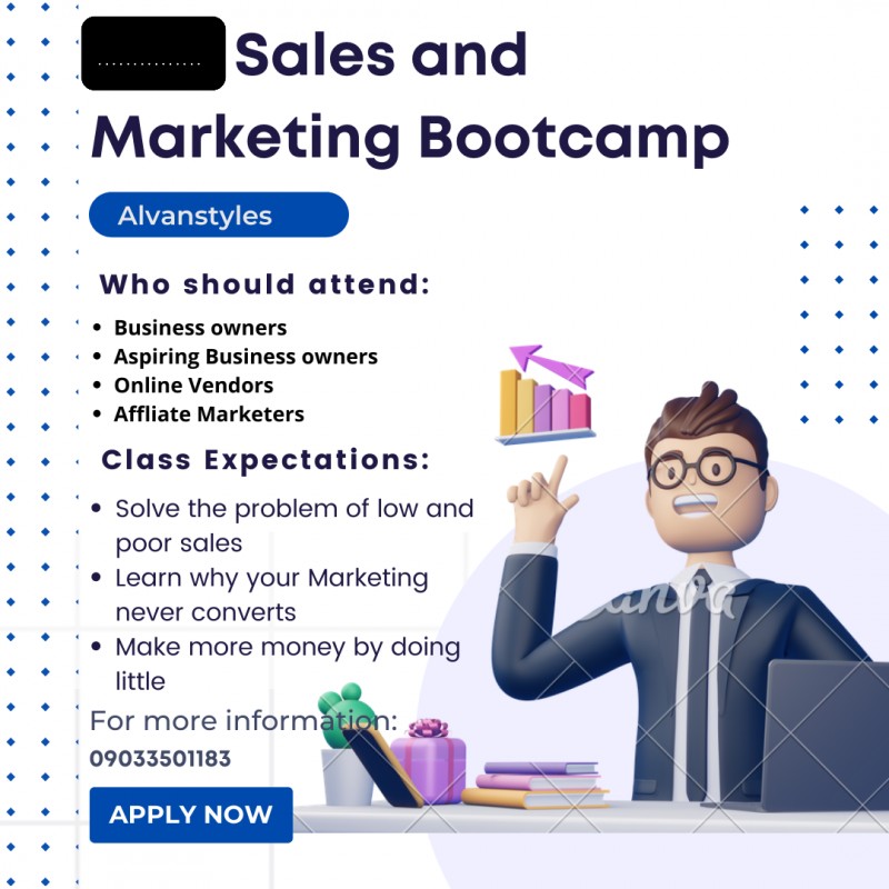 Buy Sales and Marketing Bootcamp by Alvan Styles on Selar