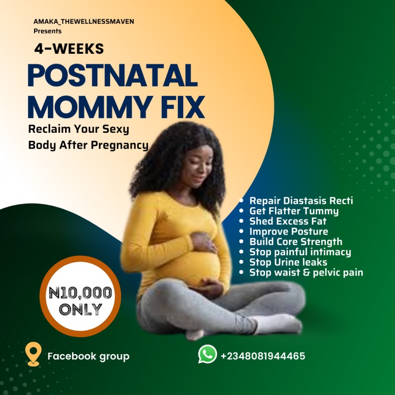 Buy POSTNATAL MOMMY FIX by Princess Amaka Anammah on Selar
