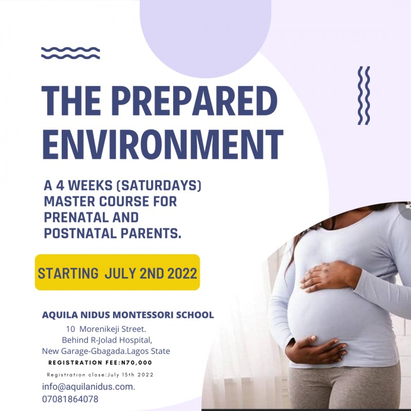 Buy THE PREPARED ENVIRONMENT by Aquila Nidus Montessori School on Selar