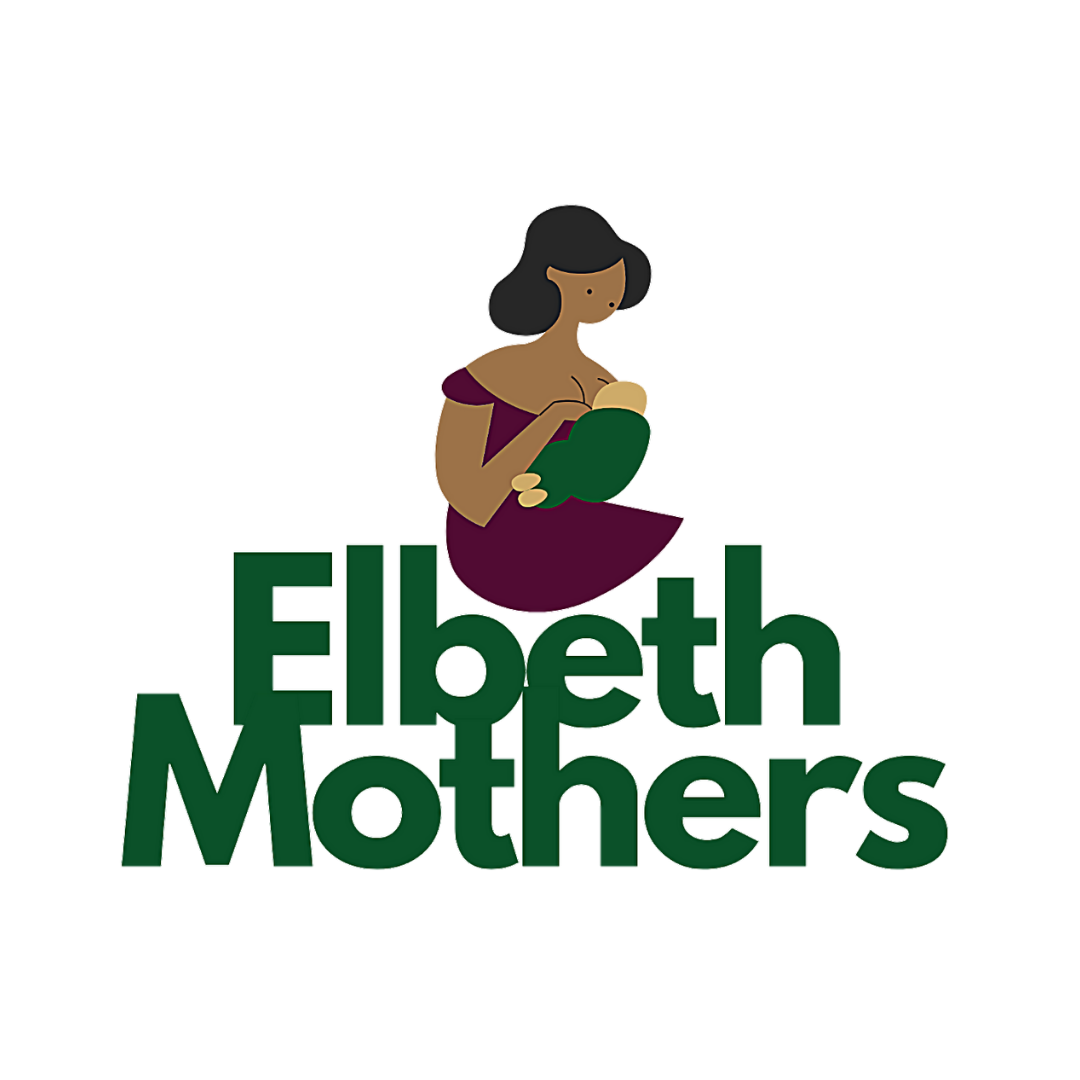 Subscribe Elbeth Mothers HSM 101 Class by Timeyin Ogungbe on Selar