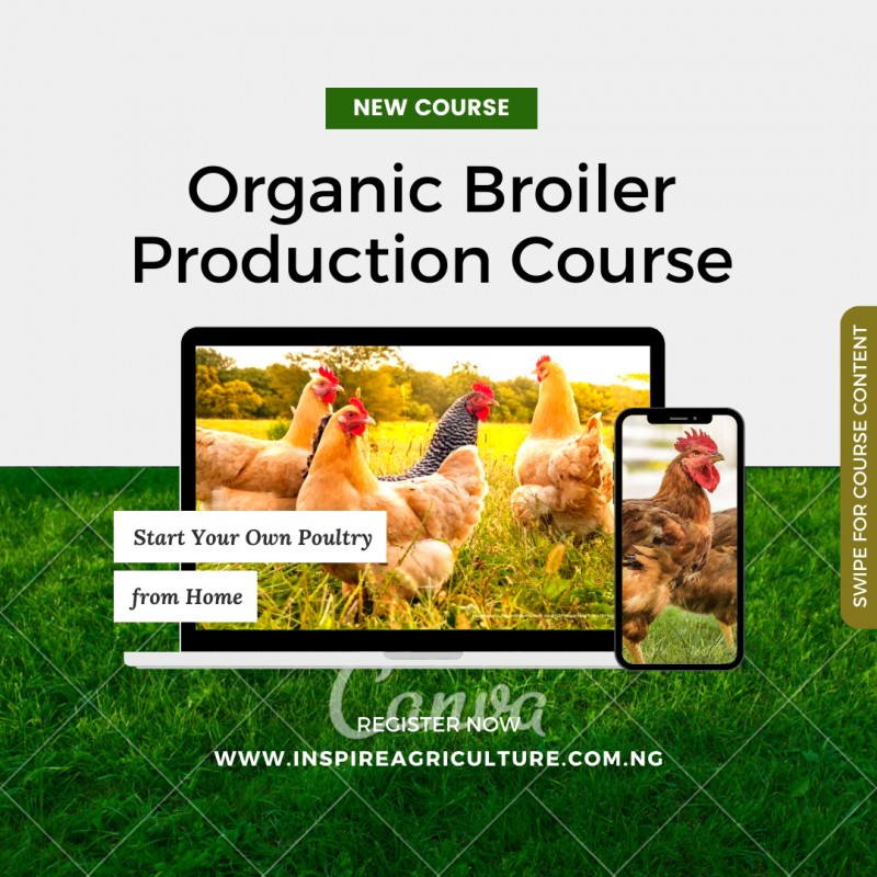 Buy Organic Broiler Production Course (online) by Adebimpe Oladunjoye ...
