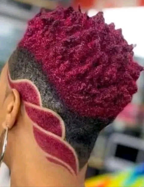 Buy NATURAL TEMPORAL HAIR DYE by Emodi Bianca on Selar