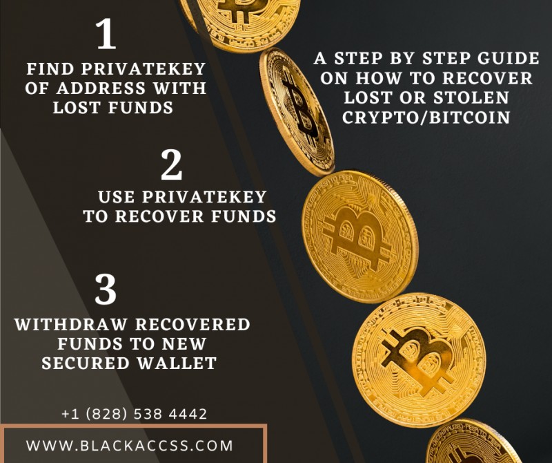 Buy bitcoin wallet recovery by black accssories on Selar