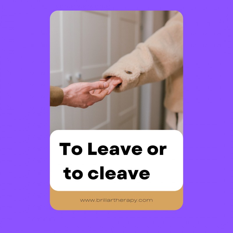 Buy To Cleave or to Leave by Fehintola Daniels on Selar