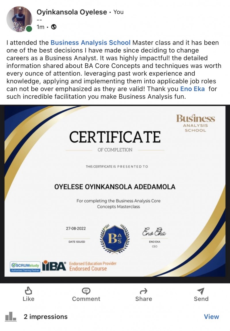 Buy Business Analysis Masterclass by Business Analysis School on Selar