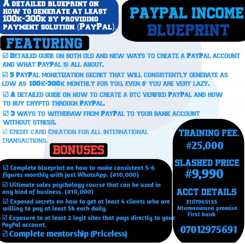 Buy PAYPAL MONEY BLUEPRINT by Casmir promise on Selar