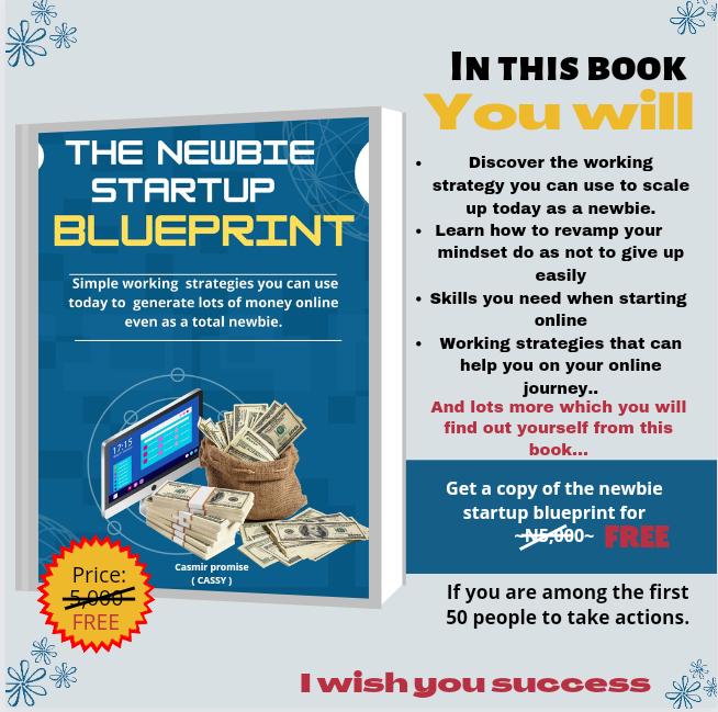 Get THE NEWBIE STARTUP BLUEPRINT by Casmir promise on Selar