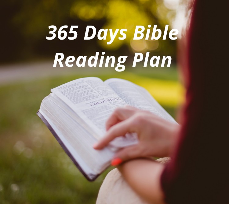 Buy 365 Days Bible Reading Plan by Aeon Lifestyle on Selar