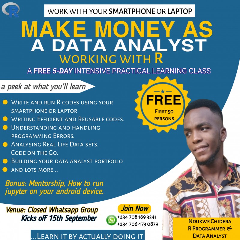 Buy Data Analysis in R by Ndukwe Chidera Samuel on Selar