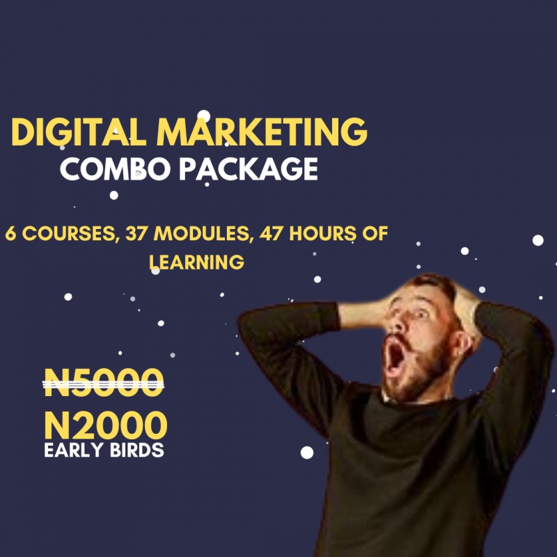 Buy DIGITAL MARKETING MASTERCLASS by Chinedu Sunday on Selar