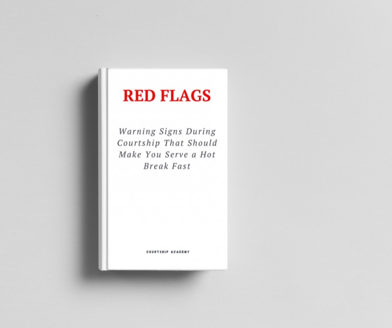 Buy Red Flags: Warning Signs During Courtship That Should Cause You to ...