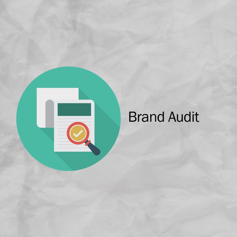 Buy Brand Audit by Taiwo Adeyemi on Selar