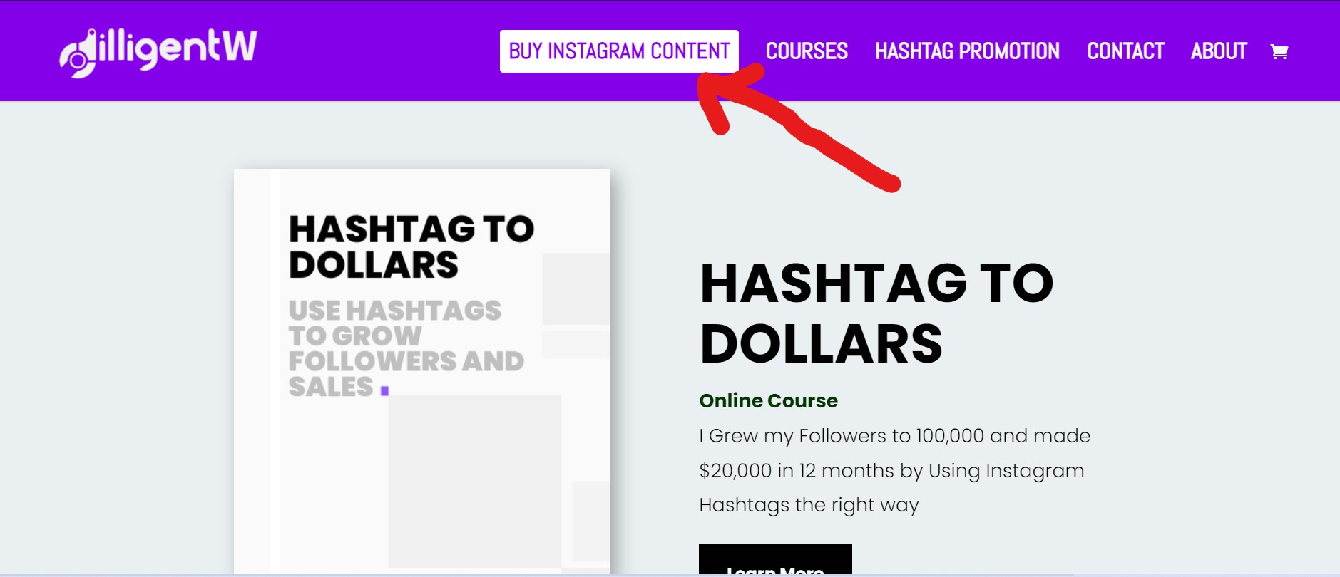 Buy Hashtag To Dollars - Make Money Selling Instagram Followers (Online ...
