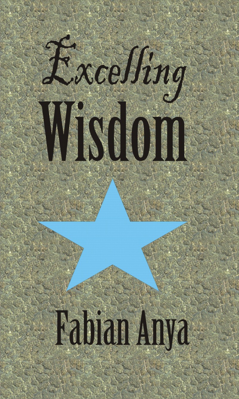 Buy Excelling Wisdom by Fabian Anya on Selar