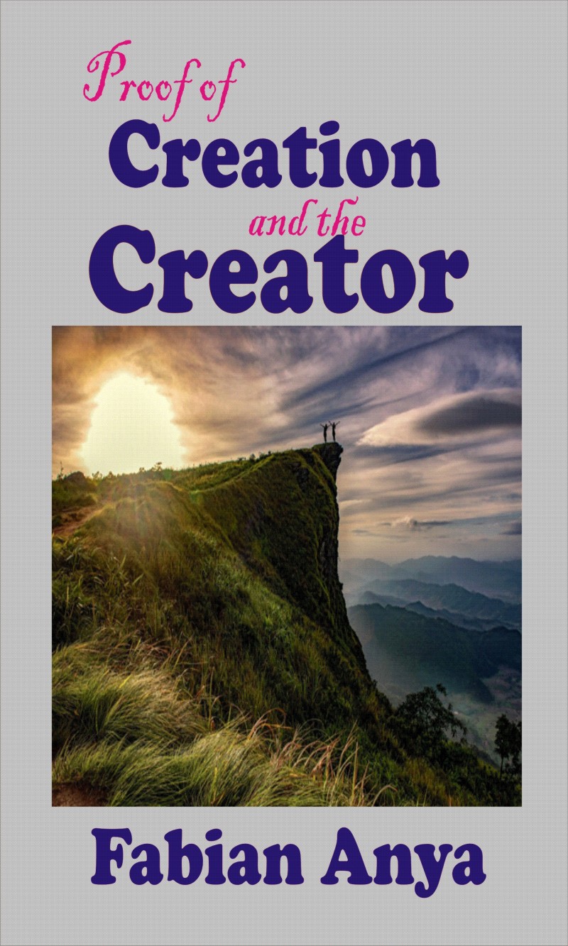 Buy Proof of Creation and the Creator by Fabian Anya on Selar