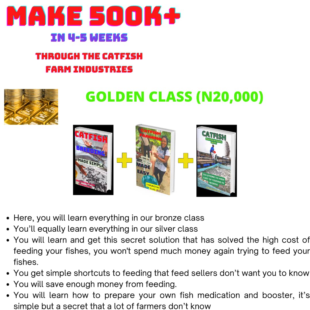 Buy LIVE CLASS ON SUCCESSFUL BREEDING OF CATFISH by Elias Darlington on Selar