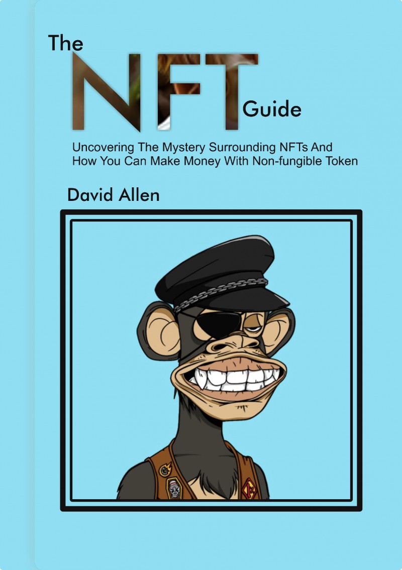 Buy The NFT Guide by DAVID ALLEN on Selar