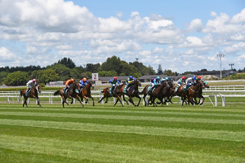 Buy Horse Racing Club by Debra Head on Selar