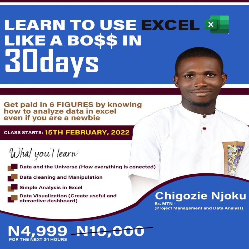 Buy Learn MS Excel in 30 Days by Chigozie Njoku on Selar