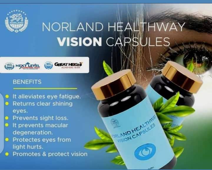 Buy Norland VISION CAPSULE by David elvis okechukwu on Selar