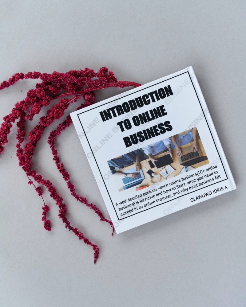 Buy INTRODUCTION TO ONLINE BUSINESS by Olawuwo Idris on Selar.co