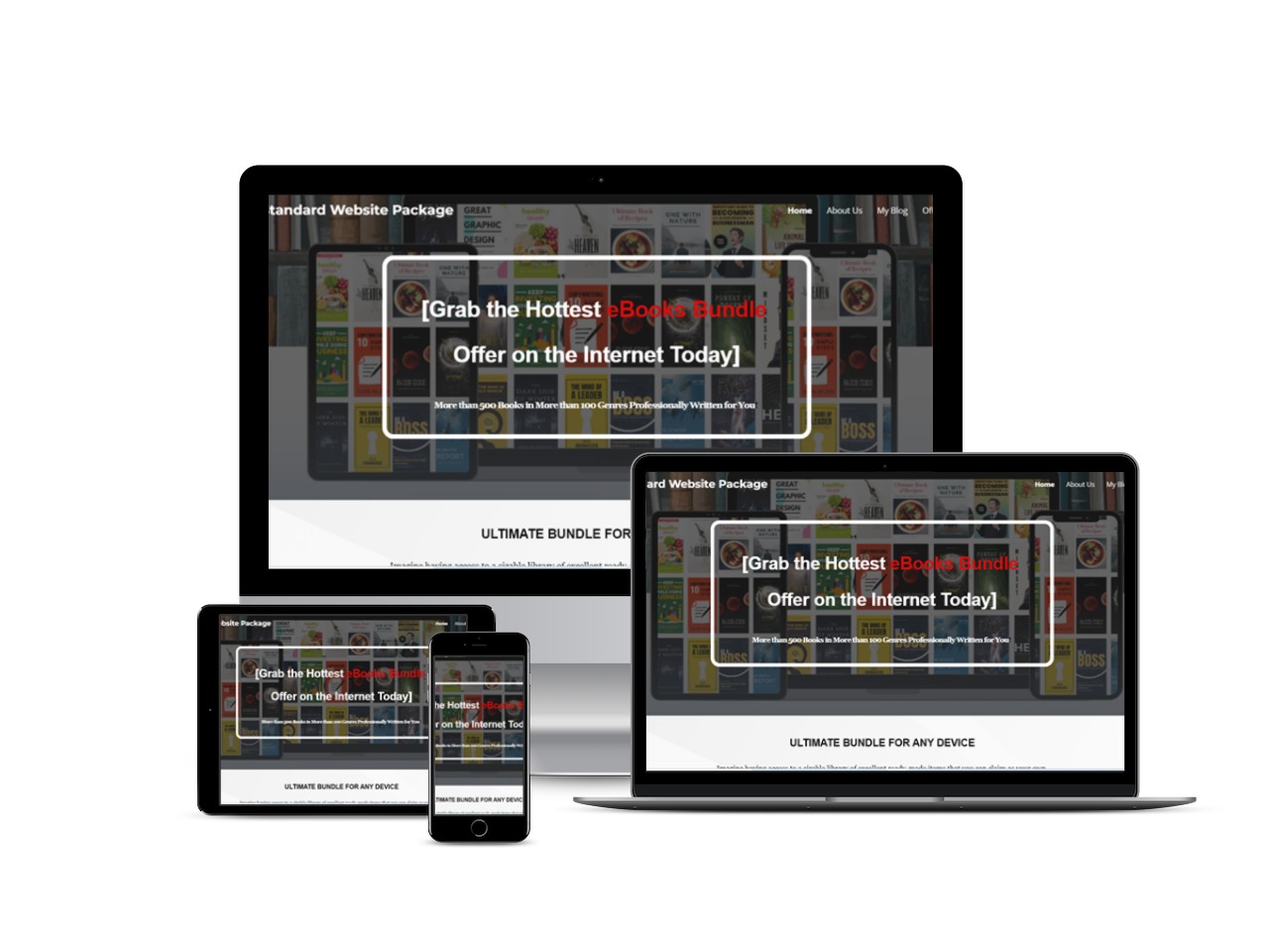 Buy GET A STANDARD PLR WEBSITE LOADED WITH DIGITAL MATERIALS by EWriterPlus on Selar