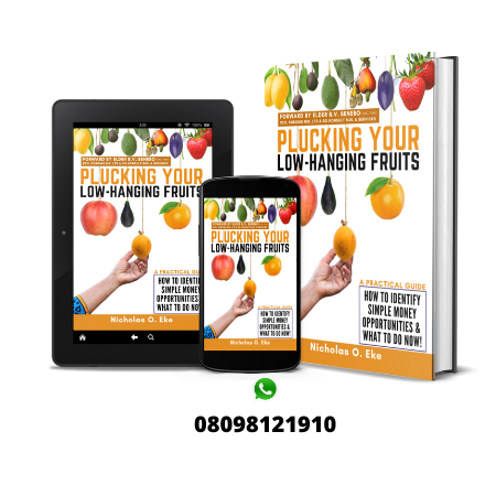 Buy PLUCKING YOUR LOW-HANGING FRUITS by Nicholas Eke on Selar.co