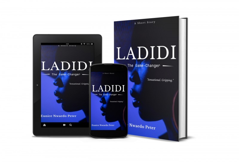 Buy LADIDI - The Game Changer by Eunique Collections Publishers on Selar