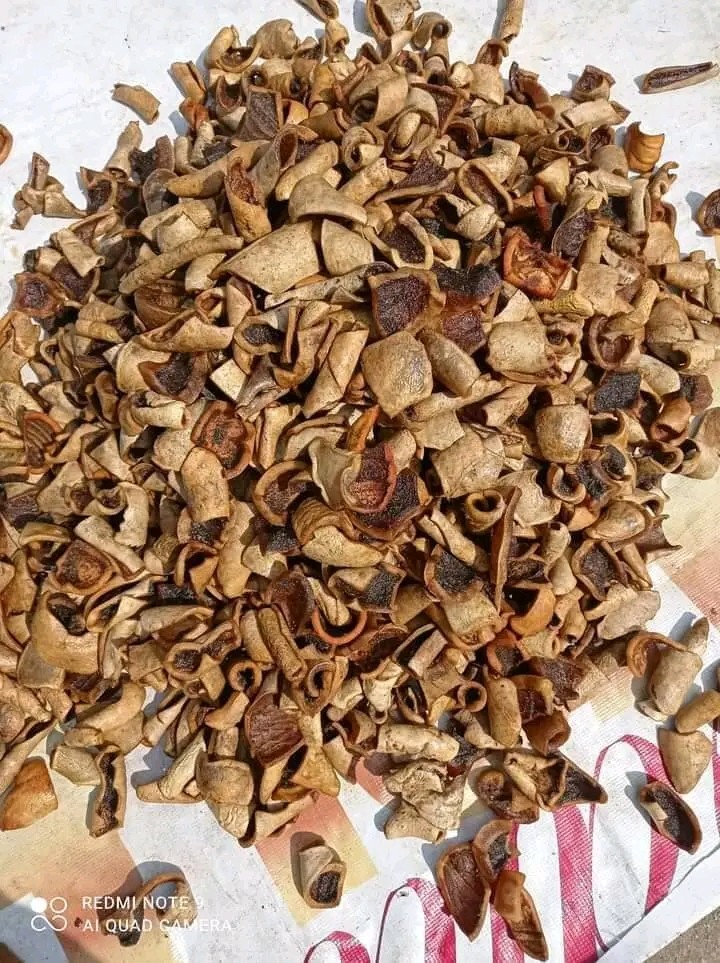 Buy FRESH FRIED PONMO by FOYINFOODHUB on Selar