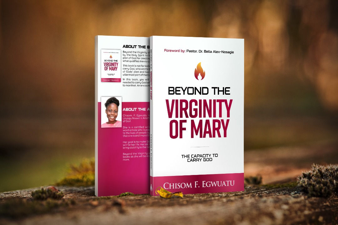 Buy Beyond the Virginity of Mary by Chisom Favour Egwuatu (His Scribe ...
