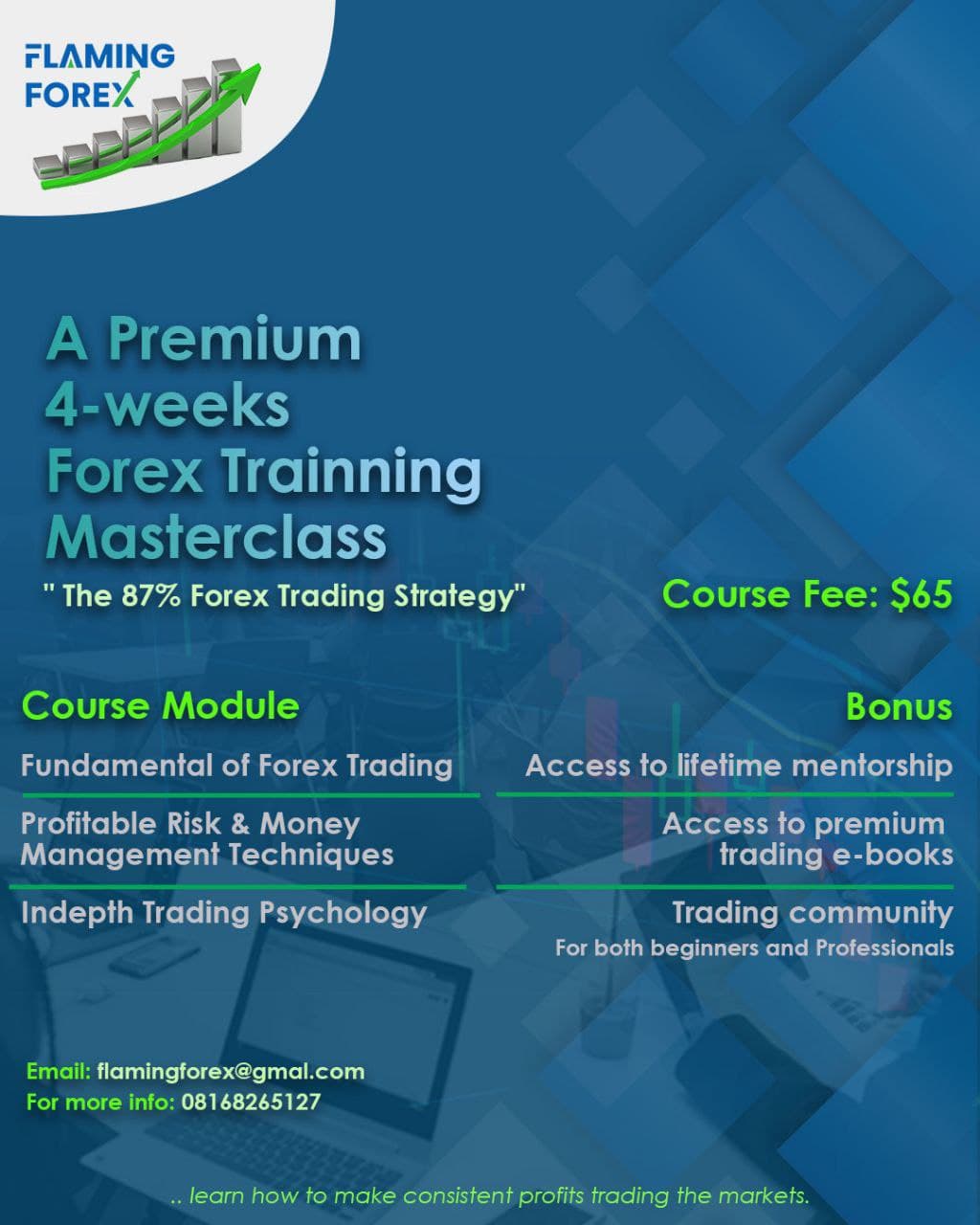 Buy Forex Training Masterclass by Flaming Forex on Selar