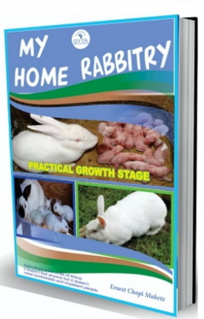 Buy MY HOME RABBITRY by Ernest Chapi Mukete on Selar