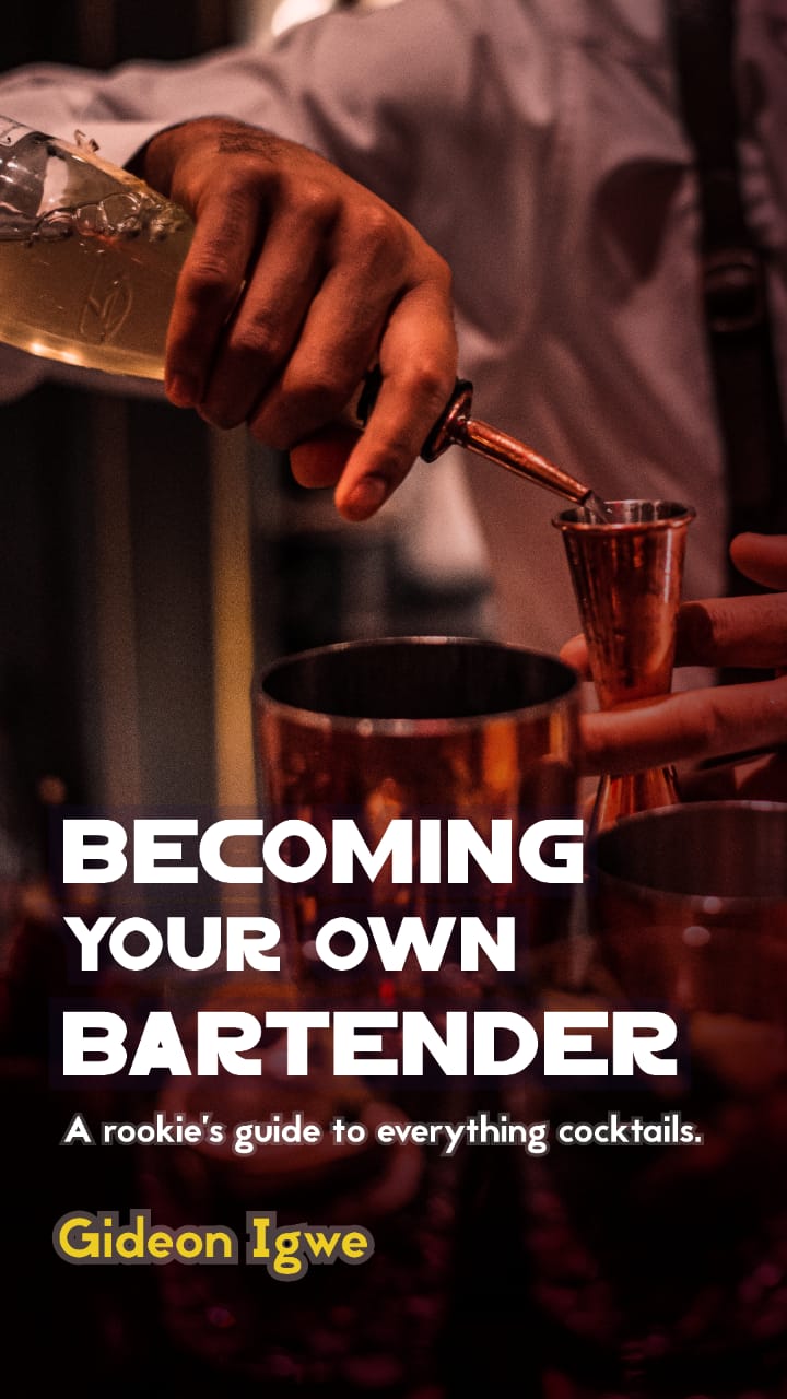 Buy Becoming your Own Bartender by Gideon Igwe on Selar