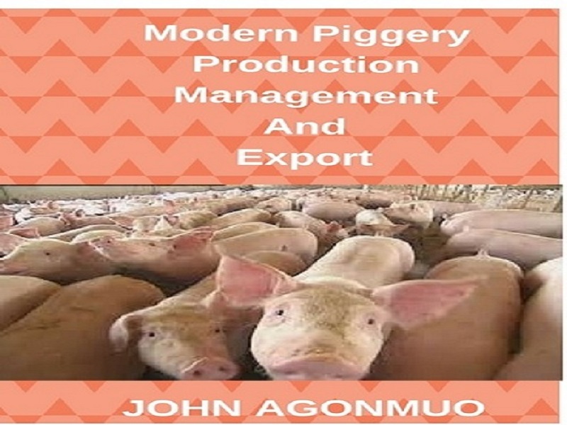 Buy MODERN PIGGERY PRODUCTION MANAGEMENT AND EXPORT by John Agonmuo on ...