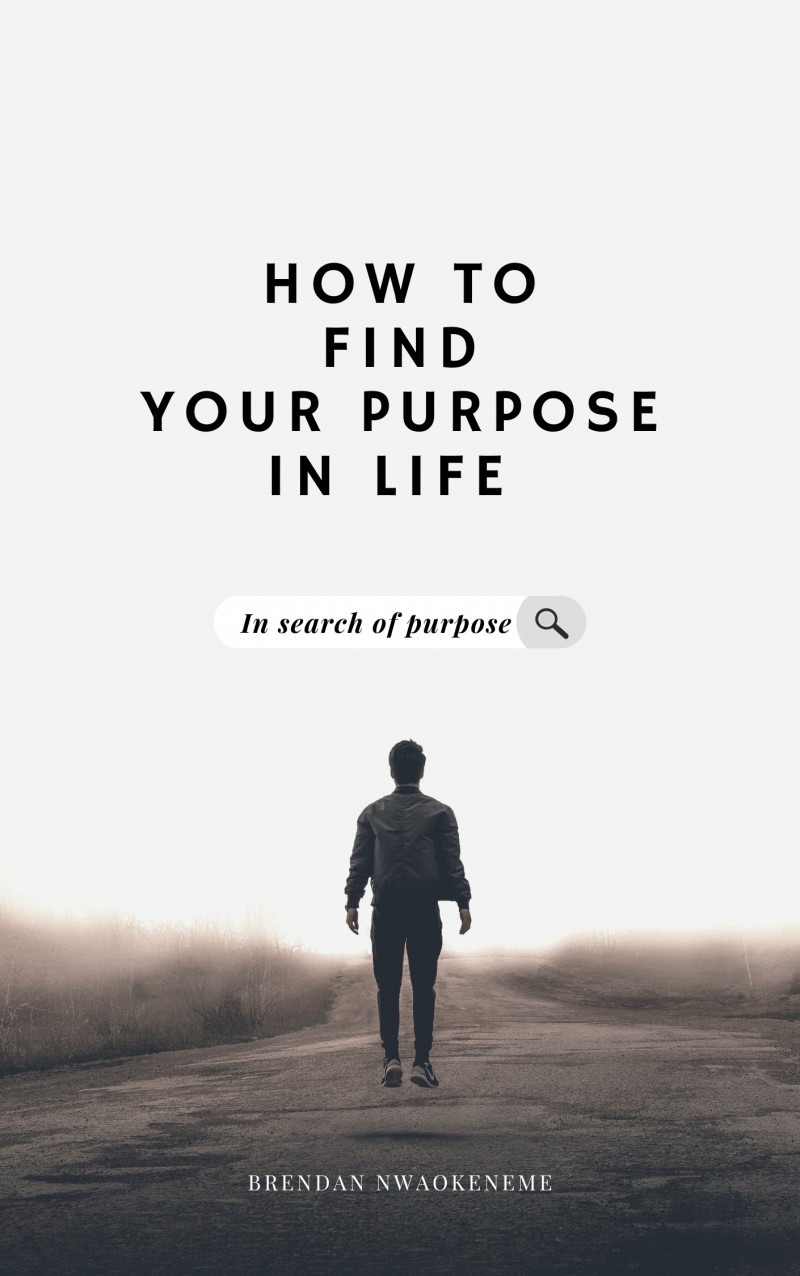 Buy HOW TO FIND YOUR PURPOSE IN LIFE by Nwaokeneme Brendan Chigozie on Selar