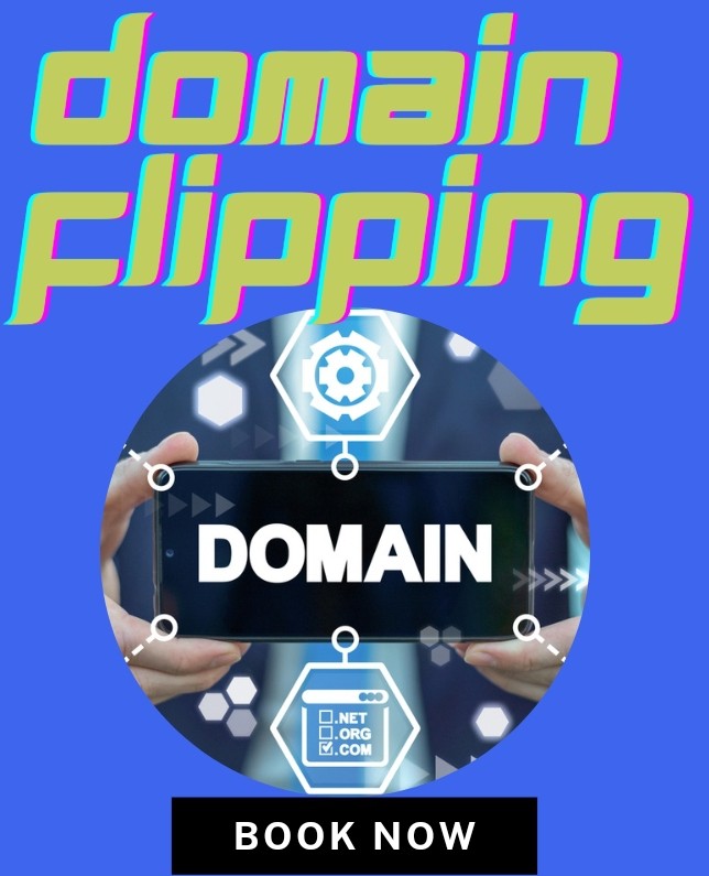 Buy Easy Money With Domain Flipping by Enyereibe Henry ugo on Selar