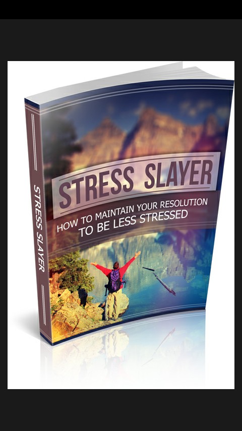 Buy Stress Slayer by New Life on Selar