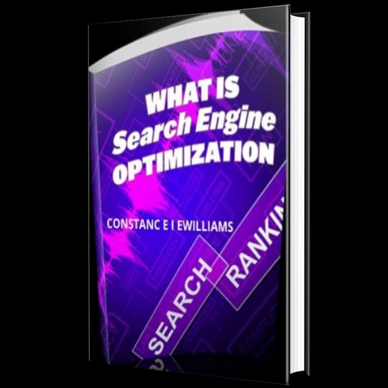 Buy WHAT IS SEARCH ENGINE OPTIMIZATION by Constance Amah on Selar