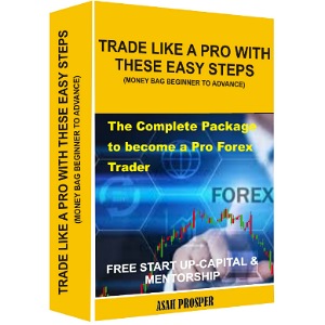 Buy MONEY BAG (FOREX FULL COURSE FROM BEGINNER TO ADVANCE) by Afoson Academy on Selar