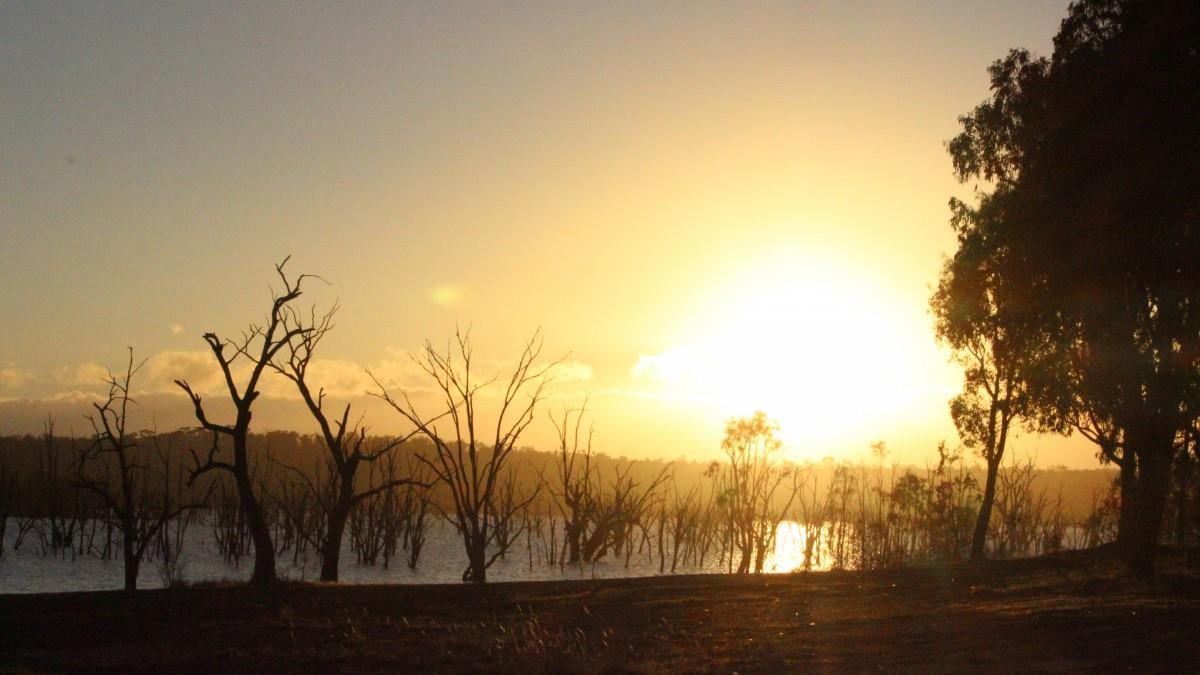 Buy View Tickets by JOHNNY PETERSON on Selar