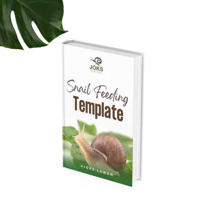 Buy Snail feeding template by Oladipupo khadijat on Selar
