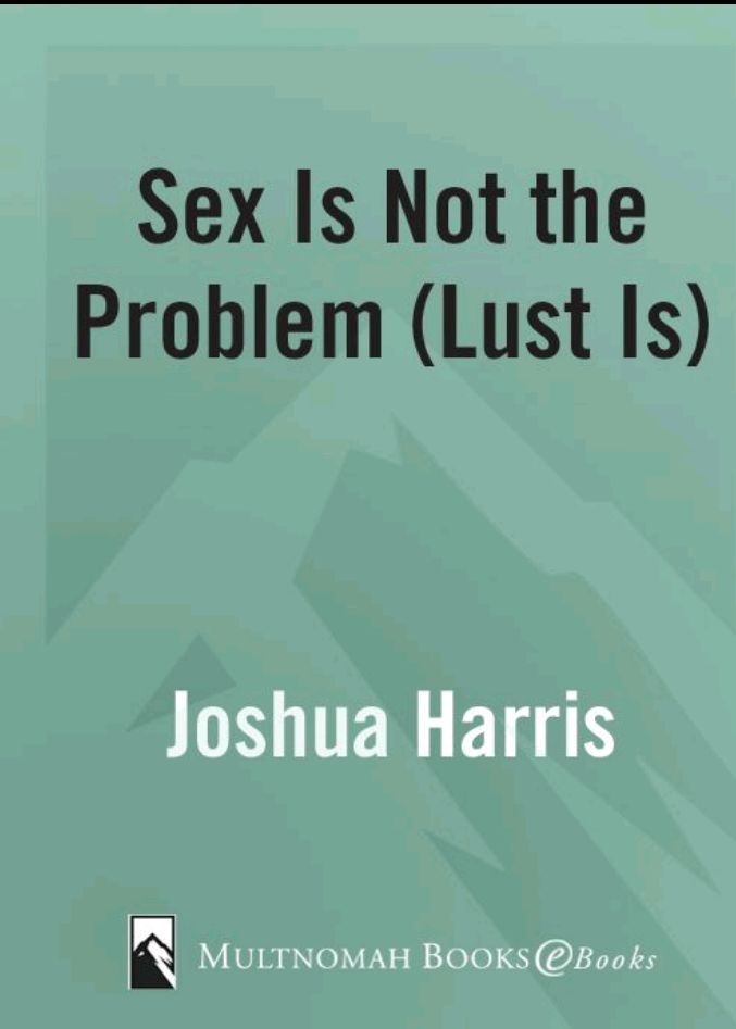 Buy Sex Is Not The Problem Lust Is By Joseph Jasini On Selar