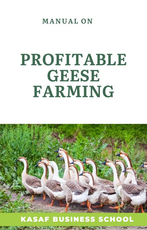 Buy PROFITABLE GEESE FARMING by KASAF Business School on Selar